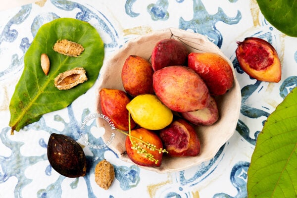 30+ Dominican Fruits - From Aguacate to Zapote