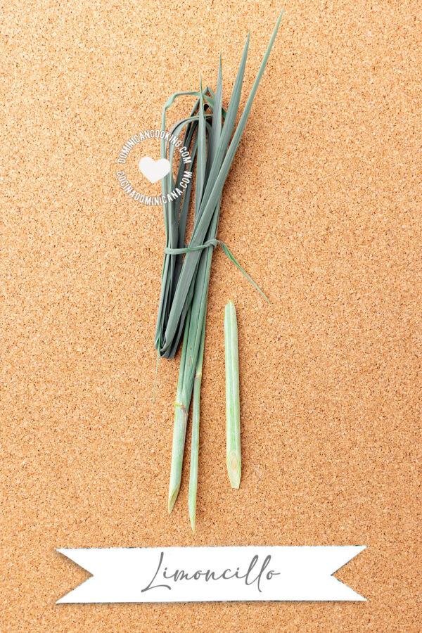 Herbs Used in Dominican Cooking