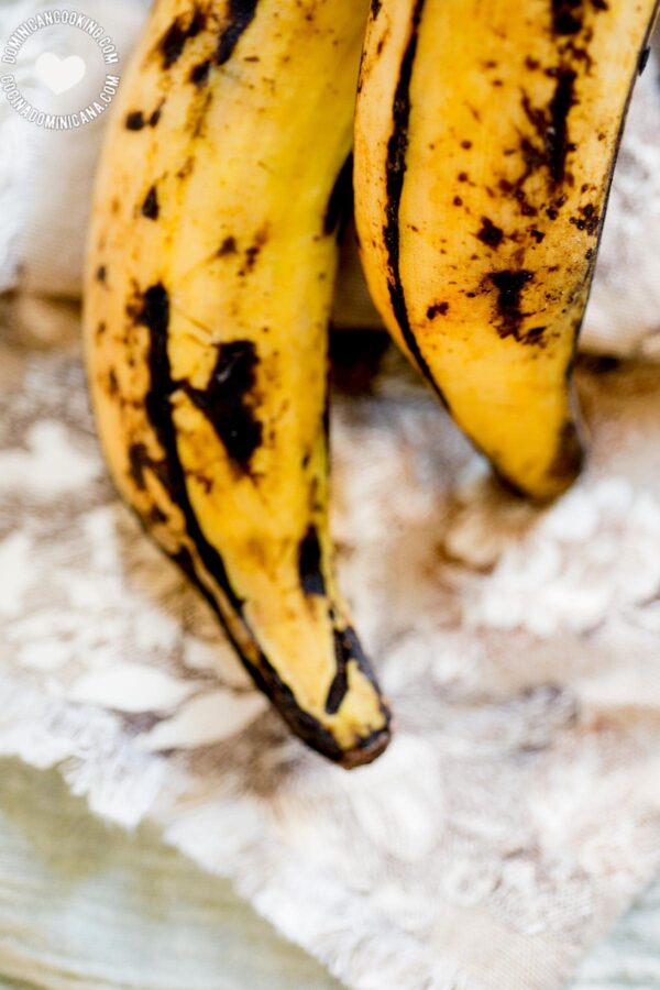 Platano: The Essential Plantain Guide