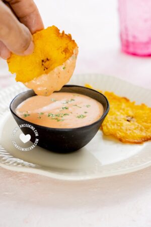Mayo-Ketchup [Recipe + Video] Pink Sauce, Salsa Rosada